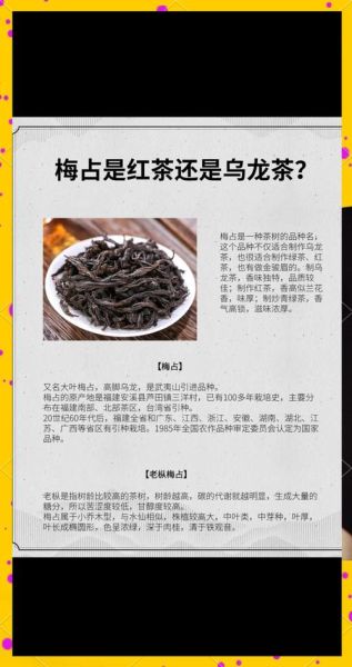 乌龙茶属于红茶还是绿茶_区别与分类详解-第1张图片-山城妙识