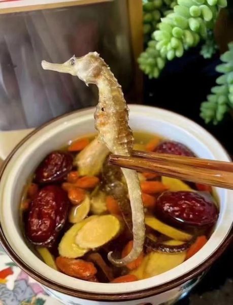 海马炖鸡汤的做法大全_海马炖鸡汤的功效与禁忌-第1张图片-山城妙识 海马炖鸡汤的做法大全_海马炖鸡汤的功效与禁忌-第1张图片-山城妙识