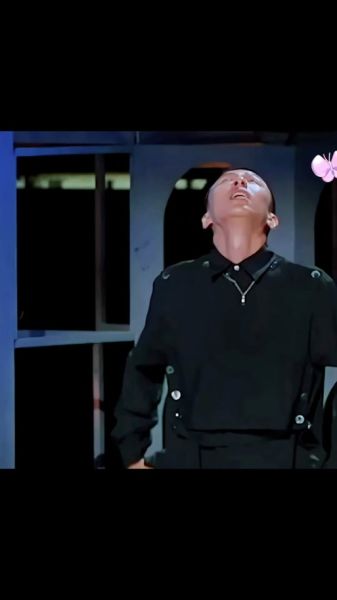 地瓜哥视频怎么拍_地瓜哥视频剪辑技巧-第3张图片-山城妙识 地瓜哥视频怎么拍_地瓜哥视频剪辑技巧-第3张图片-山城妙识