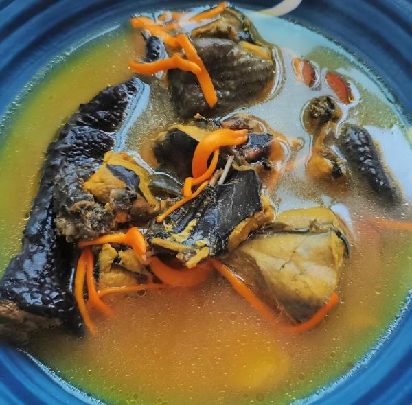 乌骨鸡怎么做好吃_乌骨鸡炖汤的正确做法-第1张图片-山城妙识