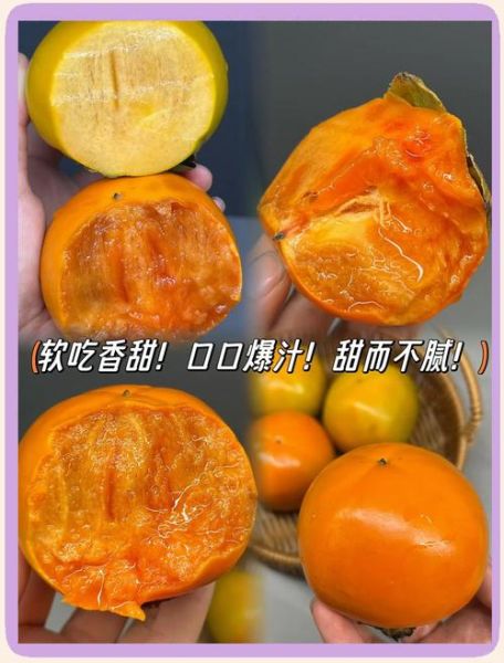 甜脆柿怎么挑_甜脆柿和软柿区别-第1张图片-山城妙识