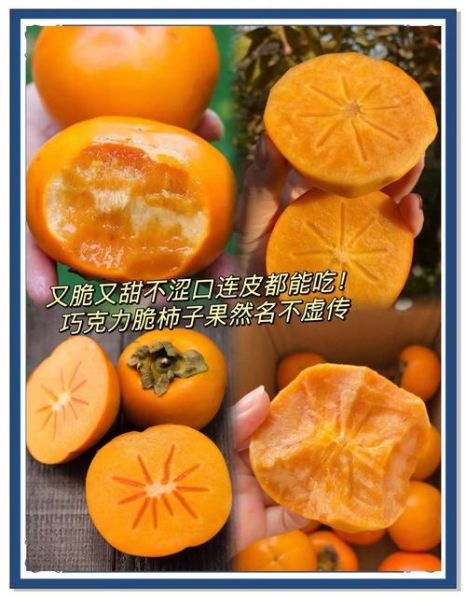 甜脆柿怎么挑_甜脆柿和软柿区别-第3张图片-山城妙识