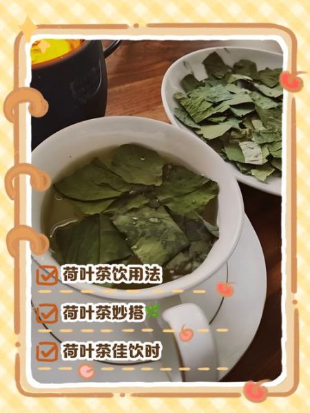 荷叶茶减肥正确喝法_荷叶茶什么时候喝效果最好-第1张图片-山城妙识