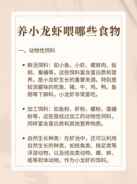 家里养小龙虾喂它什么_小龙虾食物清单-第1张图片-山城妙识 家里养小龙虾喂它什么_小龙虾食物清单-第1张图片-山城妙识