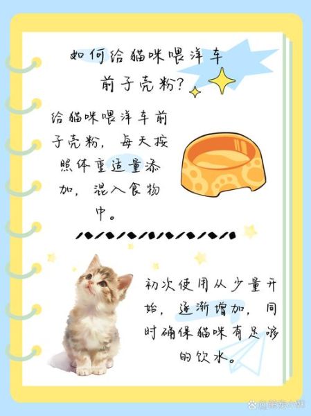 车前子壳粉能减肥吗_车前子壳粉怎么吃-第1张图片-山城妙识 车前子壳粉能减肥吗_车前子壳粉怎么吃-第1张图片-山城妙识