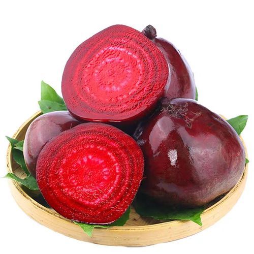 甜菜是什么菜_甜菜根和糖用甜菜区别-第3张图片-山城妙识