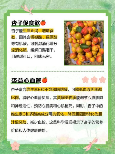杏的营养价值有哪些_杏的食用功效与禁忌-第1张图片-山城妙识