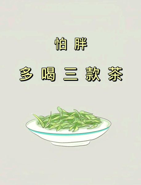 喝什么茶减肥快_哪些茶最有效-第2张图片-山城妙识