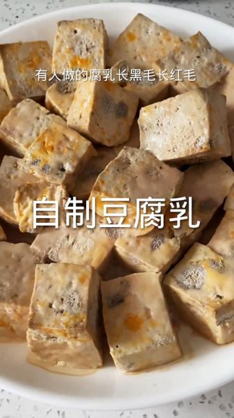 腐乳汁怎么做_腐乳汁能保存多久-第1张图片-山城妙识