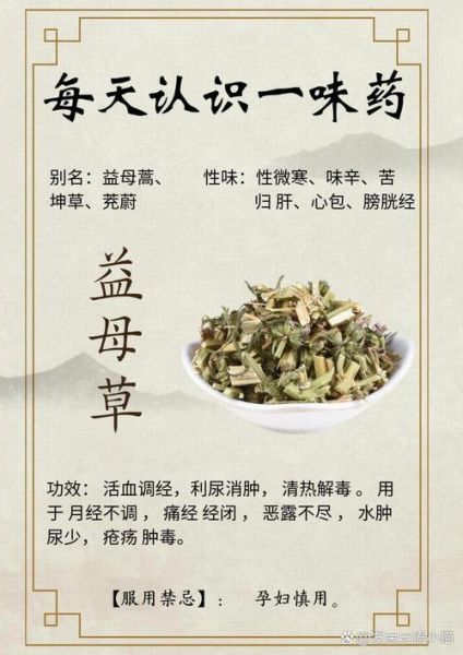 益母草副作用有哪些_益母草禁忌人群-第2张图片-山城妙识 益母草副作用有哪些_益母草禁忌人群-第2张图片-山城妙识