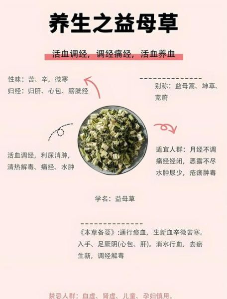 益母草副作用有哪些_益母草禁忌人群-第1张图片-山城妙识 益母草副作用有哪些_益母草禁忌人群-第1张图片-山城妙识