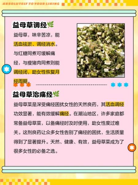 益母草副作用有哪些_益母草禁忌人群-第3张图片-山城妙识 益母草副作用有哪些_益母草禁忌人群-第3张图片-山城妙识