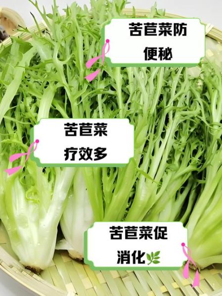 苦苣菜的功效与作用_苦苣菜怎么吃最健康-第3张图片-山城妙识 苦苣菜的功效与作用_苦苣菜怎么吃最健康-第3张图片-山城妙识