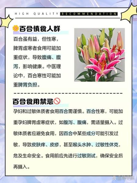 吃百合的禁忌_什么人不能吃百合-第1张图片-山城妙识 吃百合的禁忌_什么人不能吃百合-第1张图片-山城妙识