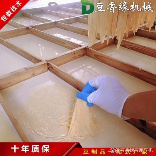 腐竹机多少钱一套_小型腐竹机价格是多少-第1张图片-山城妙识