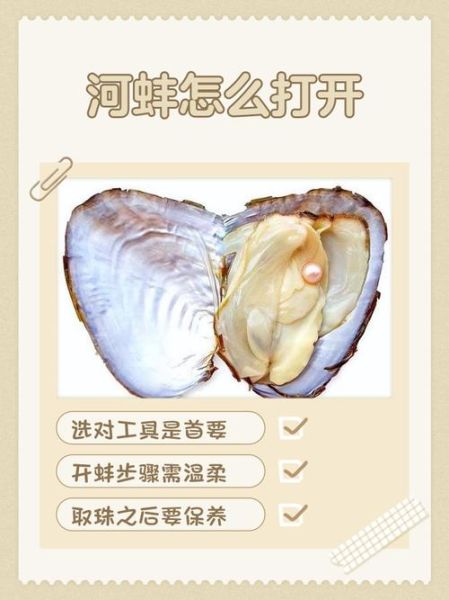 河蚌汤怎么做好喝_河蚌汤的功效与禁忌-第3张图片-山城妙识