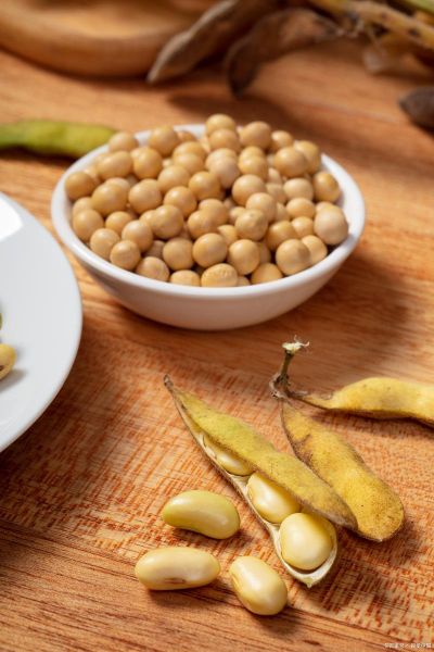 米醋泡黄豆的正确做法_米醋泡黄豆的功效与作用-第2张图片-山城妙识