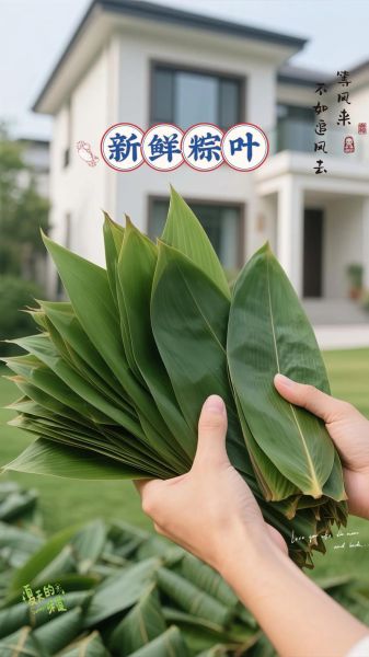 新鲜粽叶怎么处理_包粽子前粽叶要煮吗-第3张图片-山城妙识