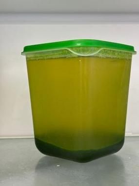 斑斓叶奶茶怎么做_斑斓叶奶茶配方比例-第3张图片-山城妙识