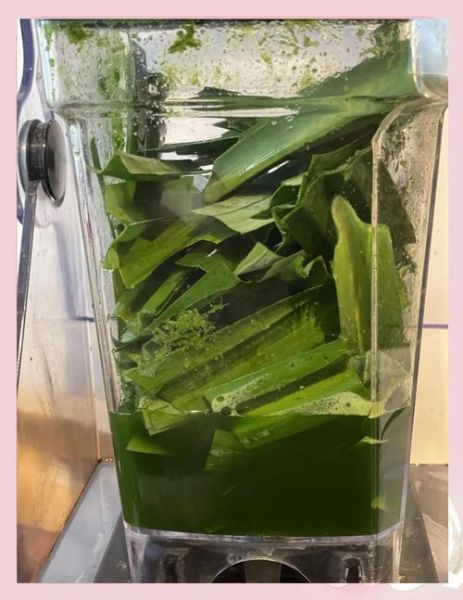 斑斓叶奶茶怎么做_斑斓叶奶茶配方比例-第2张图片-山城妙识