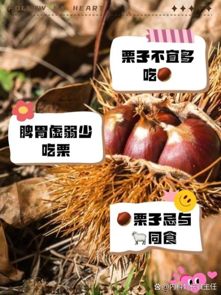 板栗什么人不能吃_哪些体质要忌口-第1张图片-山城妙识 板栗什么人不能吃_哪些体质要忌口-第1张图片-山城妙识