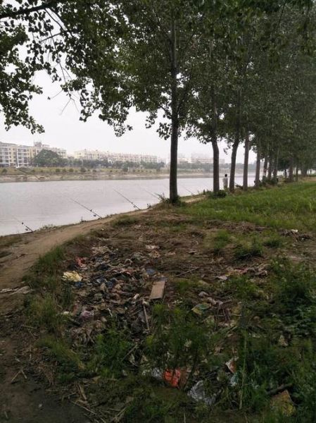 淮阳天气怎么样_淮阳未来一周天气预报-第3张图片-山城妙识