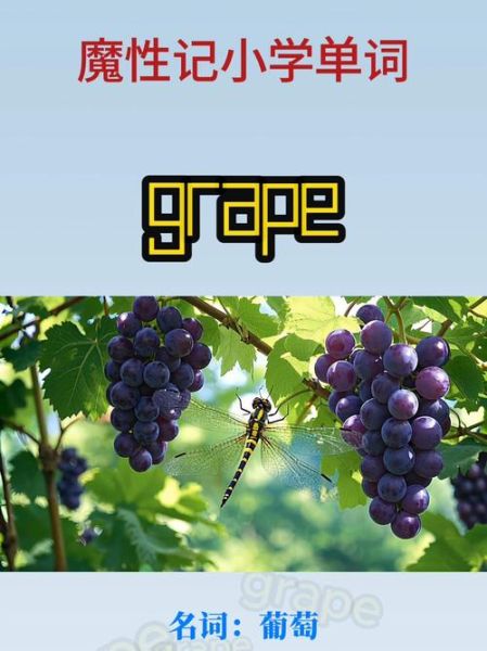 what_are_grapes_in_english_how_to_pronounce_grapes-第3张图片-山城妙识 what_are_grapes_in_english_how_to_pronounce_grapes-第3张图片-山城妙识