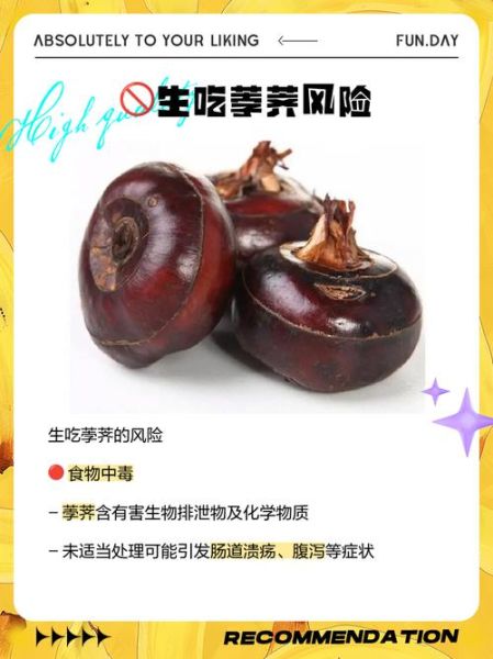 生荸荠和熟荸荠的功效区别_生吃还是熟吃更好-第1张图片-山城妙识 生荸荠和熟荸荠的功效区别_生吃还是熟吃更好-第1张图片-山城妙识
