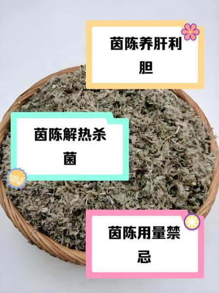 茵陈的功效与作用_茵陈能长期泡水喝吗-第1张图片-山城妙识 茵陈的功效与作用_茵陈能长期泡水喝吗-第1张图片-山城妙识