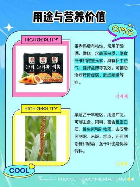 粟米是什么_粟米和小米的区别-第2张图片-山城妙识