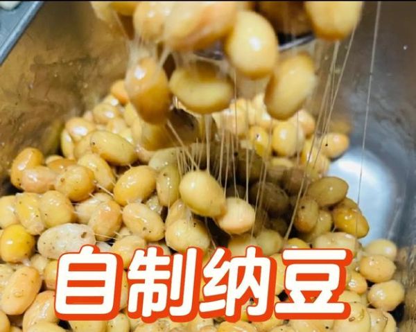 如何在家自制纳豆_纳豆最简单做法-第1张图片-山城妙识 如何在家自制纳豆_纳豆最简单做法-第1张图片-山城妙识