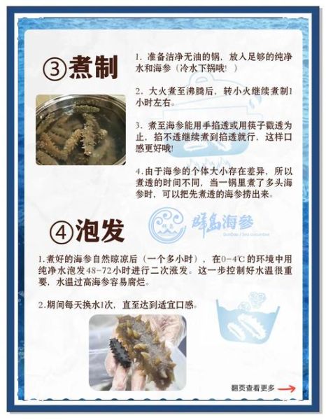 海参怎么泡发_海参的家常做法14款-第3张图片-山城妙识 海参怎么泡发_海参的家常做法14款-第3张图片-山城妙识