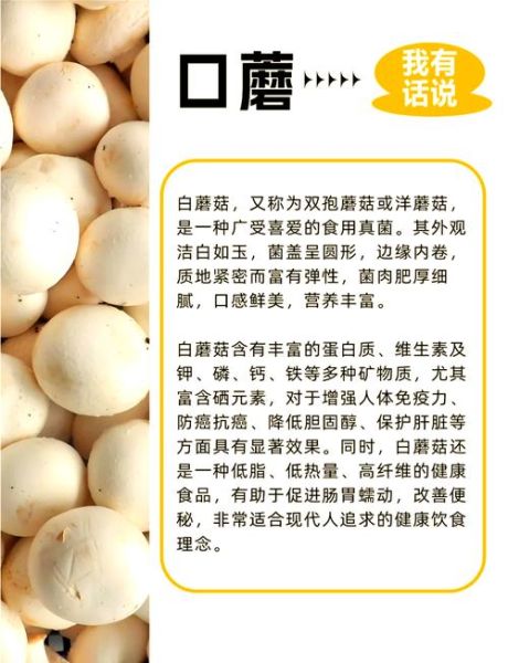 口蘑的功效与作用_口蘑怎么吃最营养-第1张图片-山城妙识 口蘑的功效与作用_口蘑怎么吃最营养-第1张图片-山城妙识