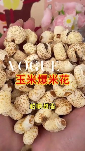 炸爆米花用什么玉米_哪种玉米适合做爆米花-第3张图片-山城妙识 炸爆米花用什么玉米_哪种玉米适合做爆米花-第3张图片-山城妙识