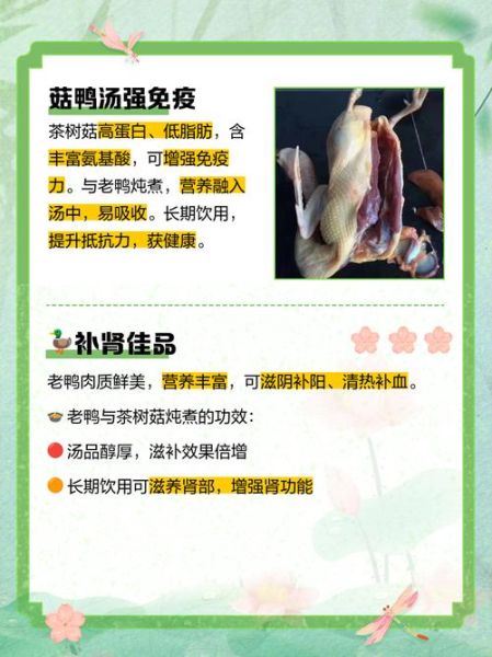 茶树菇老鸭汤的功效_孕妇能喝吗-第1张图片-山城妙识 茶树菇老鸭汤的功效_孕妇能喝吗-第1张图片-山城妙识