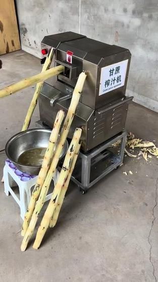 家用甘蔗榨汁机哪款好_家用甘蔗榨汁机怎么用-第3张图片-山城妙识