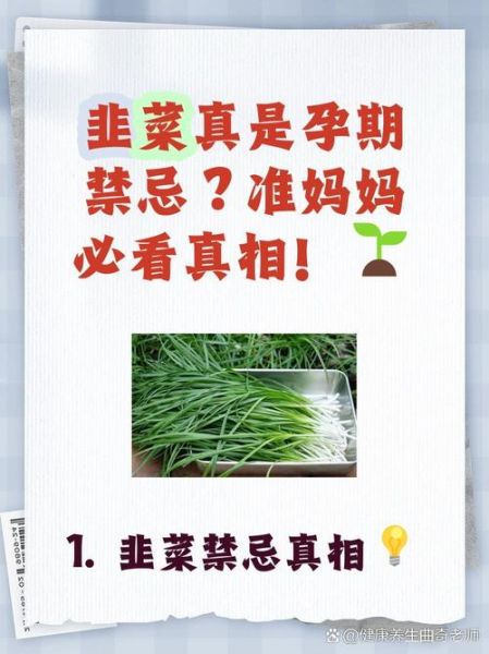 孕妇能吃韭菜吗_孕早期吃韭菜安全吗-第1张图片-山城妙识