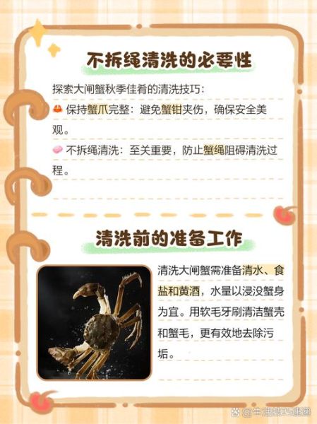 大闸蟹怎么洗才干净_要解开绳子洗吗-第2张图片-山城妙识
