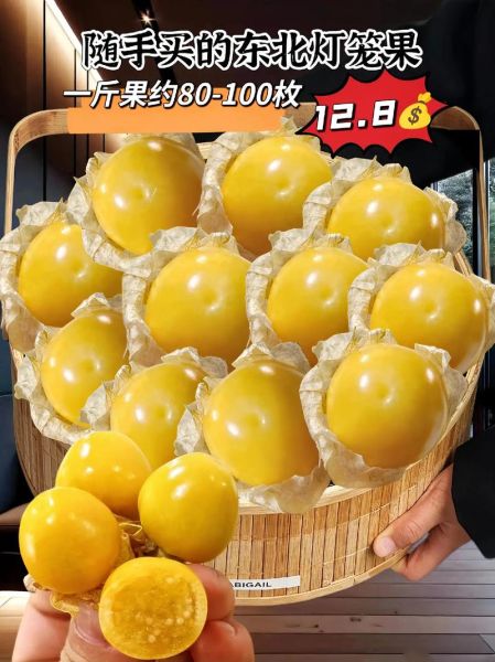 灯笼果多少钱一斤_灯笼果价格行情-第2张图片-山城妙识 灯笼果多少钱一斤_灯笼果价格行情-第2张图片-山城妙识