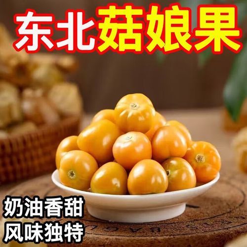 灯笼果多少钱一斤_灯笼果价格行情-第3张图片-山城妙识 灯笼果多少钱一斤_灯笼果价格行情-第3张图片-山城妙识