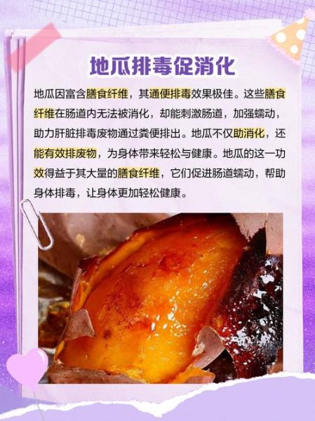 地瓜的营养价值有哪些_地瓜吃了有什么好处-第3张图片-山城妙识
