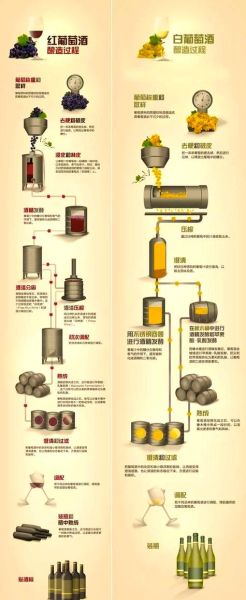 白葡萄酒怎么酿造_白葡萄酒的制作步骤-第2张图片-山城妙识