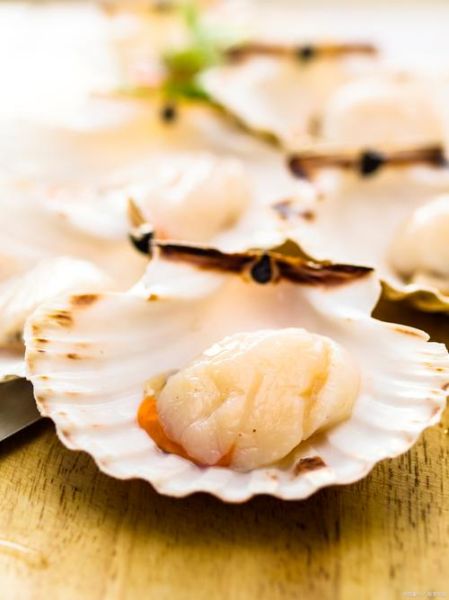 扇贝柱怎么做好吃_扇贝柱的做法大全-第2张图片-山城妙识 扇贝柱怎么做好吃_扇贝柱的做法大全-第2张图片-山城妙识