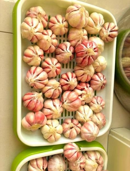 怎样腌大蒜_腌大蒜的正确方法-第3张图片-山城妙识