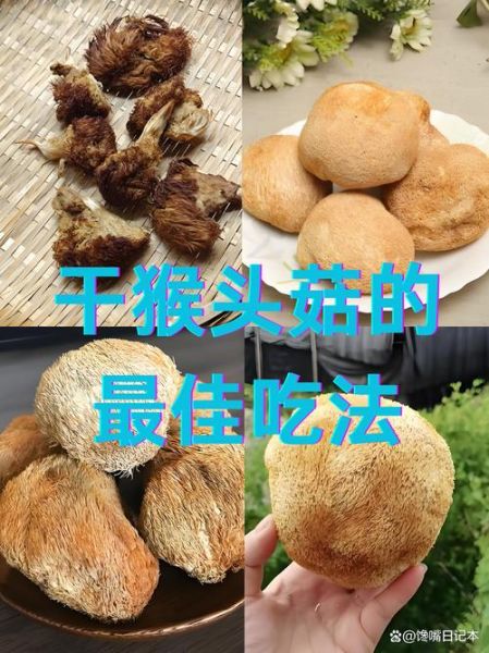 干猴头菇怎么泡发_干猴头菇泡发多久才软-第2张图片-山城妙识