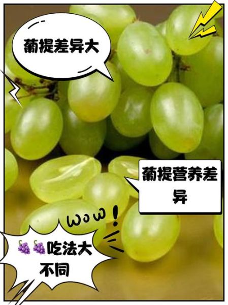 提子和葡萄哪个营养高_提子与葡萄的区别-第1张图片-山城妙识