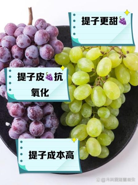 提子和葡萄哪个营养高_提子与葡萄的区别-第2张图片-山城妙识