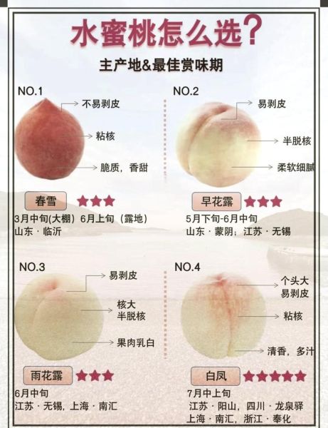 水蜜桃怎么挑_水蜜桃保存多久-第1张图片-山城妙识