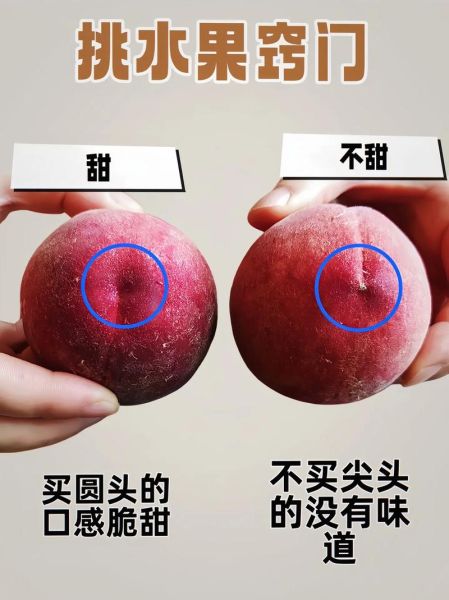 水蜜桃怎么挑_水蜜桃保存多久-第2张图片-山城妙识