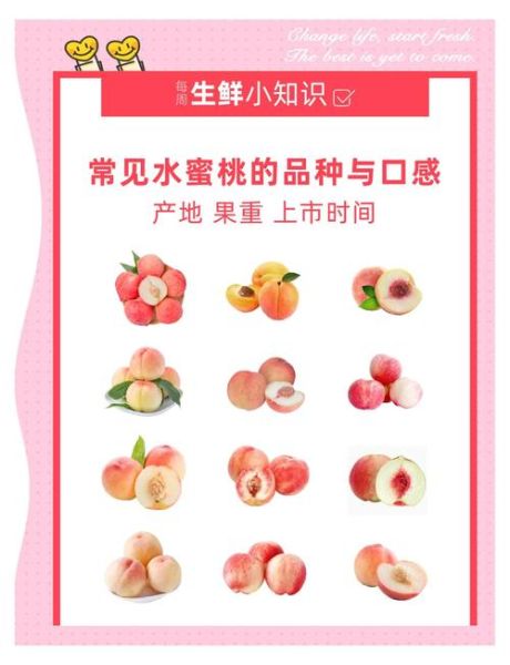 水蜜桃怎么挑_水蜜桃保存多久-第3张图片-山城妙识